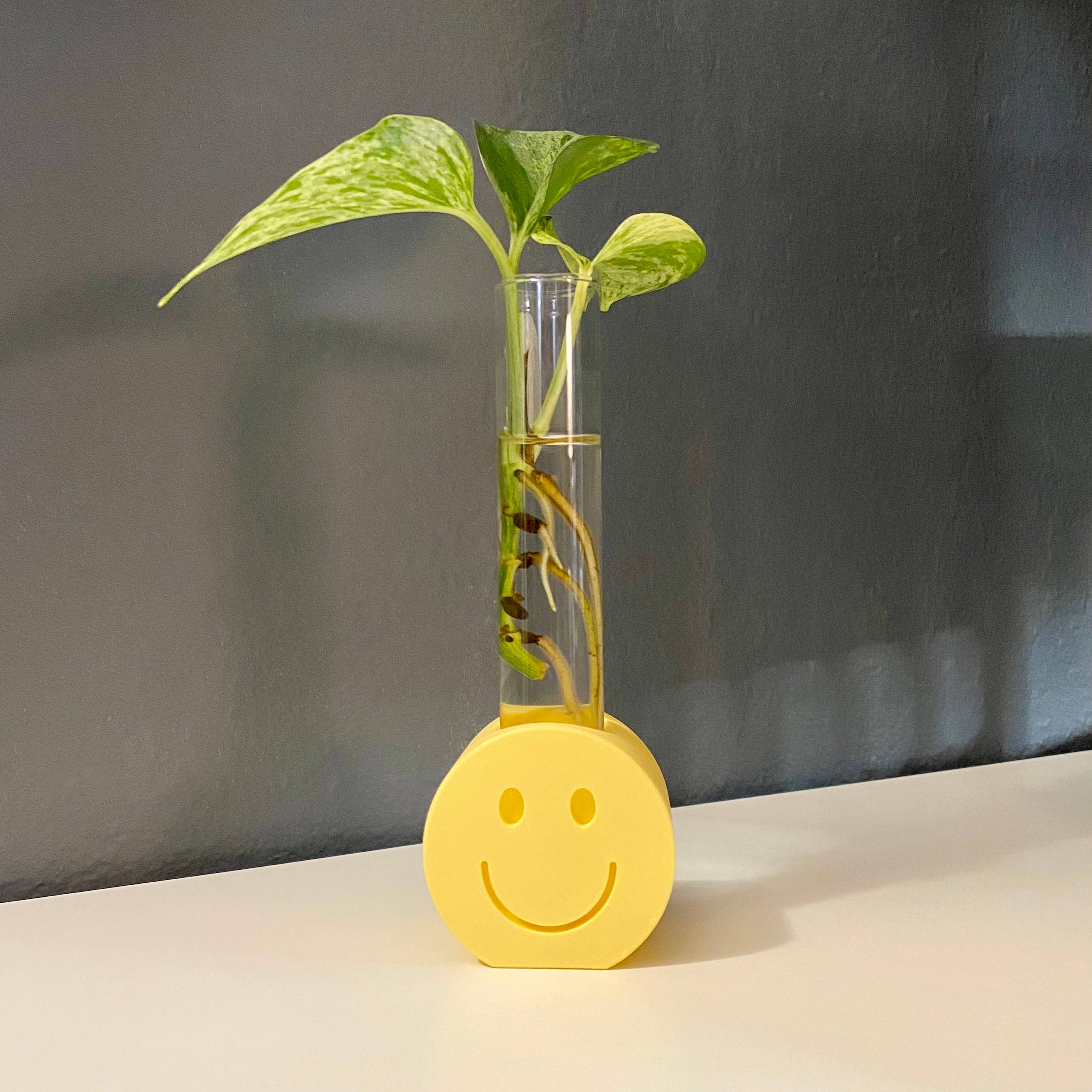 Plant Voyage - 3D Printed Smiley Propagation Station, Propagation Stand ...